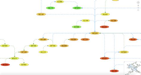 graph visualization tom sawyer software