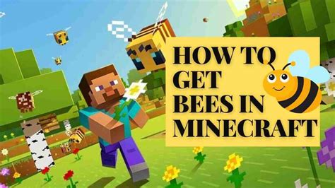 How To Get Bees In Minecraft Beehive Minecraft 2025