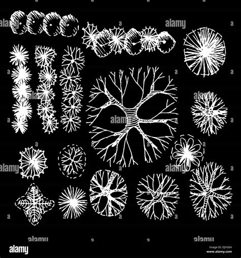 Trees Top View For Architecture Landscape Design Projects Stock Photo Alamy