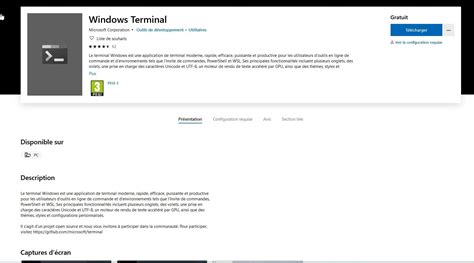 Windows Terminal Accéder à Powershell Invite De Commandes Et Wsl