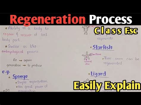 Example Of Regeneration