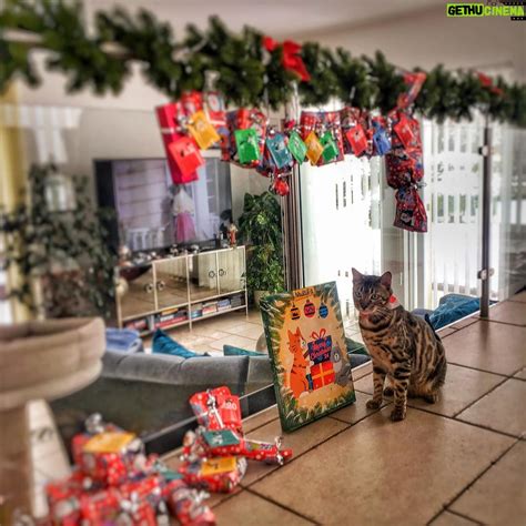 Nicole Mieth Gethu Cinema