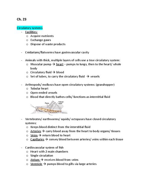 Ch Chapter Notes Ch Circulatory Systems Facilities O Acquire Nutrients O