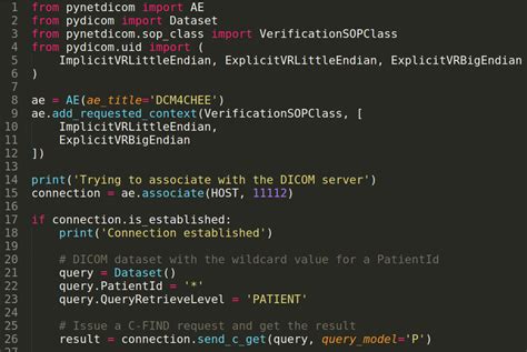 The Code Snipped Written In Python Implementing The Exploit Download