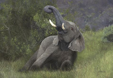 Jill Corless Fine Art Gallery