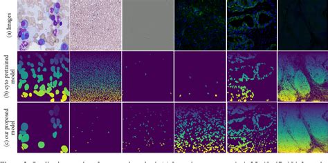 Figure From Cell Segmentation In Multi Modality High Resolution Microscopy Images With