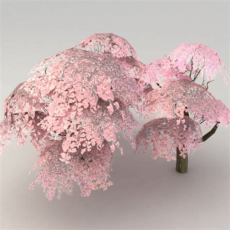 Sakura Set 3d Max