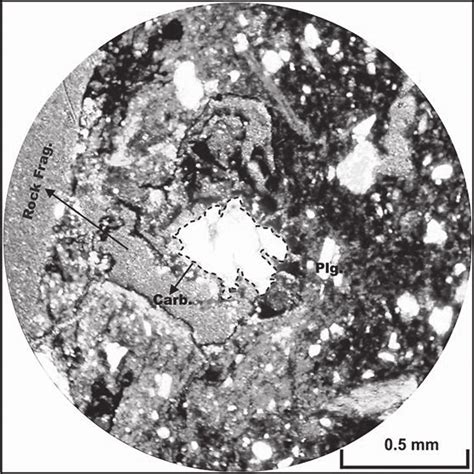 a sedimentary rock limestone fragment in the thin section image of