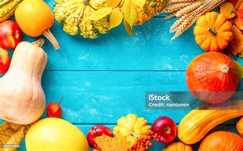 호박 멜론 호밀 사과 마가목 포도가 있는 가을 정물 이미지 프레임 파란색 우든 테이블에 여유 공간이 있습니다 추수 감사절 가을 개념 배경입니다 10월에 대한 스톡 사진 및