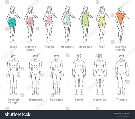 Hourglass Figure Drawing