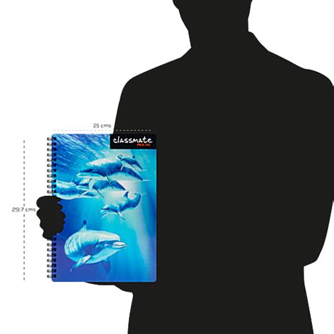 Buy Classmate Ruled Notebook 6 Subject Assorted Colour Online At