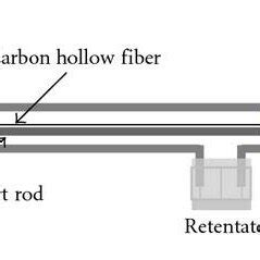 Scheme Of The Membrane Module Download Scientific Diagram