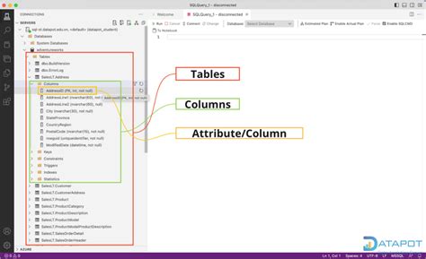 Tài liệu học SQL Phần SQL là gì Tổng quan về SQL cho người mới Datapot vn