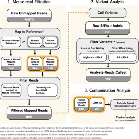Impact Assessment Of Mouse Genome On Human Genome Analysis A Schematic Download Scientific
