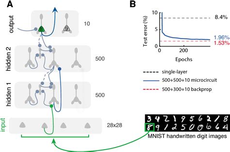 Figure 4 From Dendritic Error Backpropagation In Deep Cortical Microcircuits Semantic Scholar