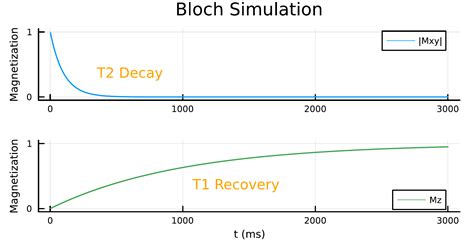 Mri Physics Simulation Bloch Equations