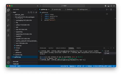 Python For Beginners Module Not Found But Requirement Already