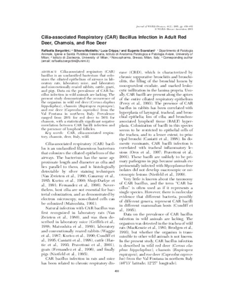 Pdf Cilia Associated Respiratory Car Bacillus Infection Of Obese Mice Luca Crippa