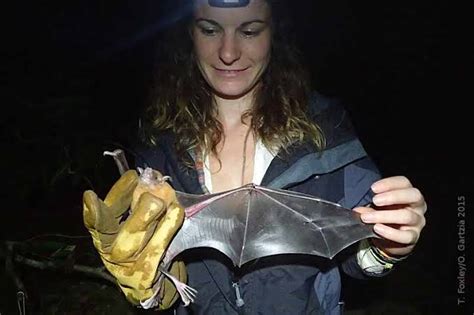 Rest Orientdb Parsing Through Traverse Commands Output In Javascript