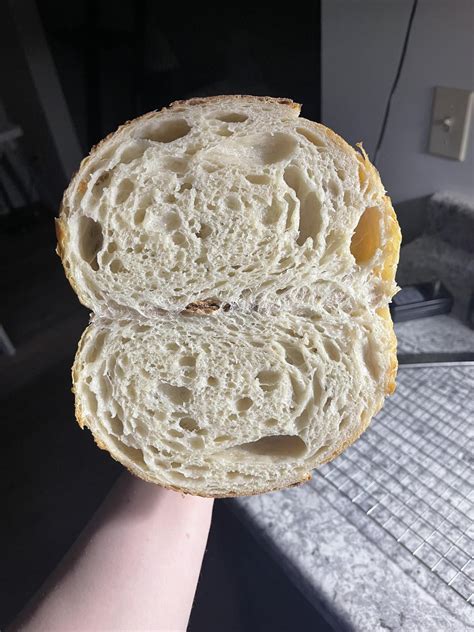 shaping issue or proofing issue r sourdough