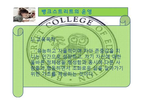 유아교육 뱅크 스트리트 프로그램 인문교육