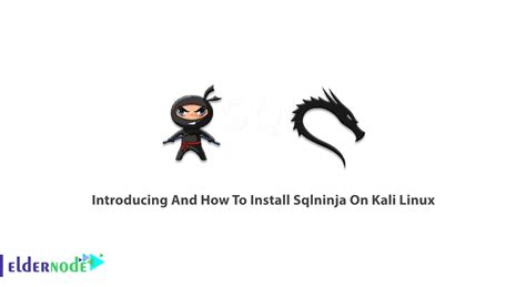 Tutorial Install And Run Sqlmap On Kali Linux Eldernode Blog
