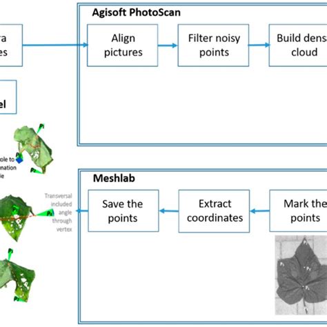 Workflow For Image Processing And Data Extraction To Determine Leaf