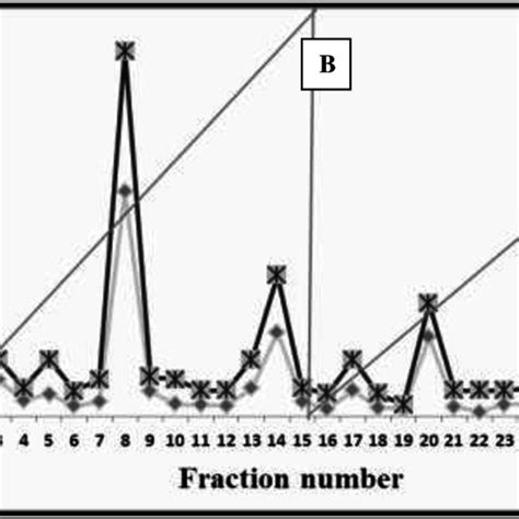 Morphology Of Pythium Aphanidermatum 1 And 2 A Toruloid