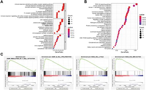 Functional Analyses A Go And B Kegg Pathway Analyses C