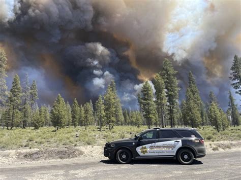 California Heat Has Dried Out Tall Grass Making Fire Outlook Worrisome