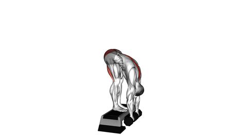 Dumbbell Jefferson Curl Male Exercise Guide And Tips