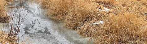 Nose Creek Pathway Alberta Canada 368 Reviews Map Alltrails