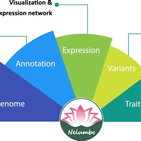 Hierarchical Clustering Of Different Rna Seq Samples Based On A Gene