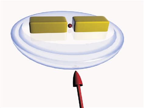 Figure 1 From Polarization Sensitivity Of Optical Resonant Dipole