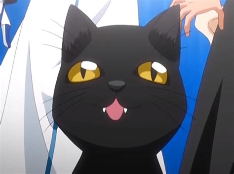 Bleach Cat Girl Name At Teresa Hooker Blog