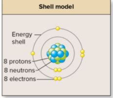 Chapter 2 Flashcards Quizlet