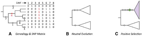figure 1 1 from improvement on the interpretability of convolutional