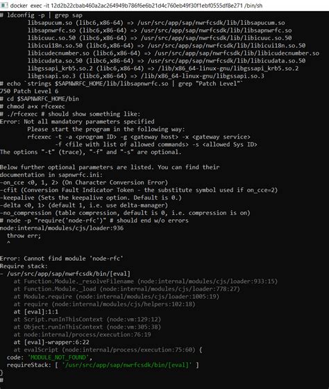 Modulenotfound When Installing Node Rfc Locally In A Docker Environment · Issue 256 · Sap