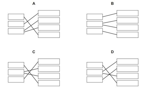 IGCSE Biology Enzymes IGCSE Style Questions Paper