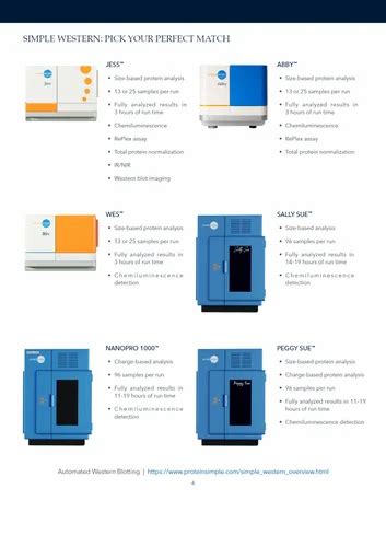 Bio Techne Jess System Western Blotting Analysis At ₹ 800000piece In