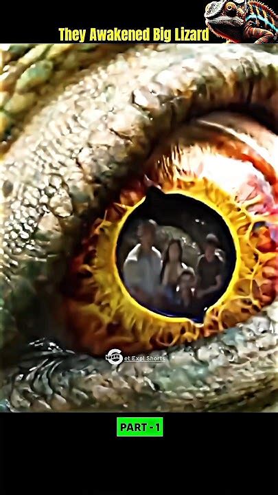 They About To Be Killed By The Lizard Shorts Getexpshorts Youtube