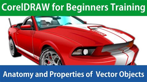 Coreldraw For Beginners The Anatomy And Properties Of Vector Objects Tutorial Youtube