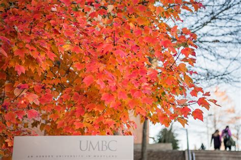 Umbc Center For Cybersecurity Umbc