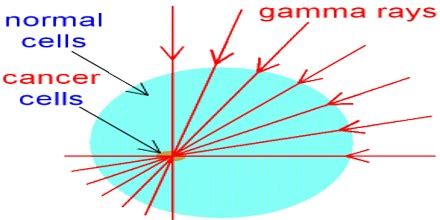 About Gamma Radiation Assignment Point