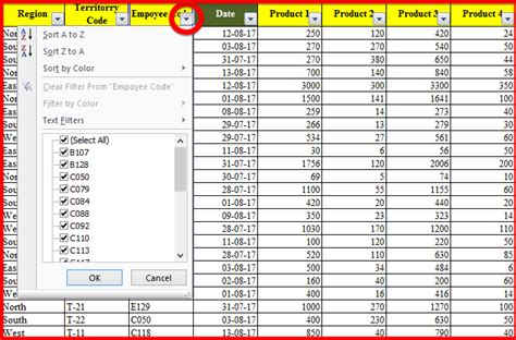 Filter Text Number Date And Filter By Color In Microsoft Excel