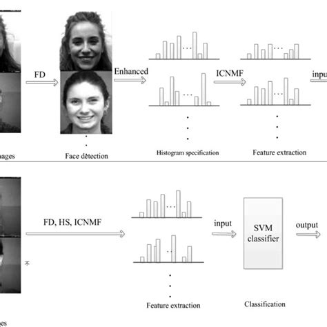 Flowchart Of The Facial Expression Recognition Download Scientific
