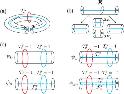 Color Online A Cutting A Torus Into A Cylinder B Illustration Of