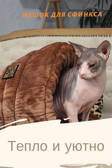 Дом нора для кота