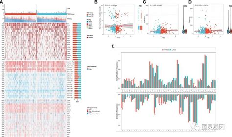 Ai 单细胞轨迹分析结肠癌t细胞耗竭 知乎