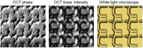 3x3 Cells Of The Thin Film Transistor Array Seen With Phase Sensitive Download Scientific